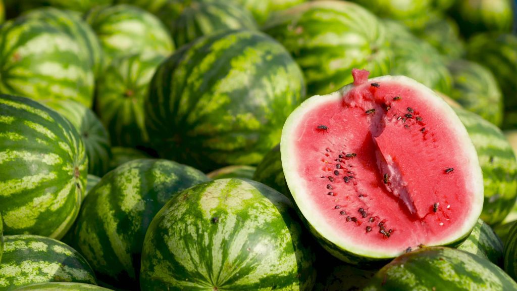 Todo sobre la sandía🍉 en la mejor web de alimentos 🥇